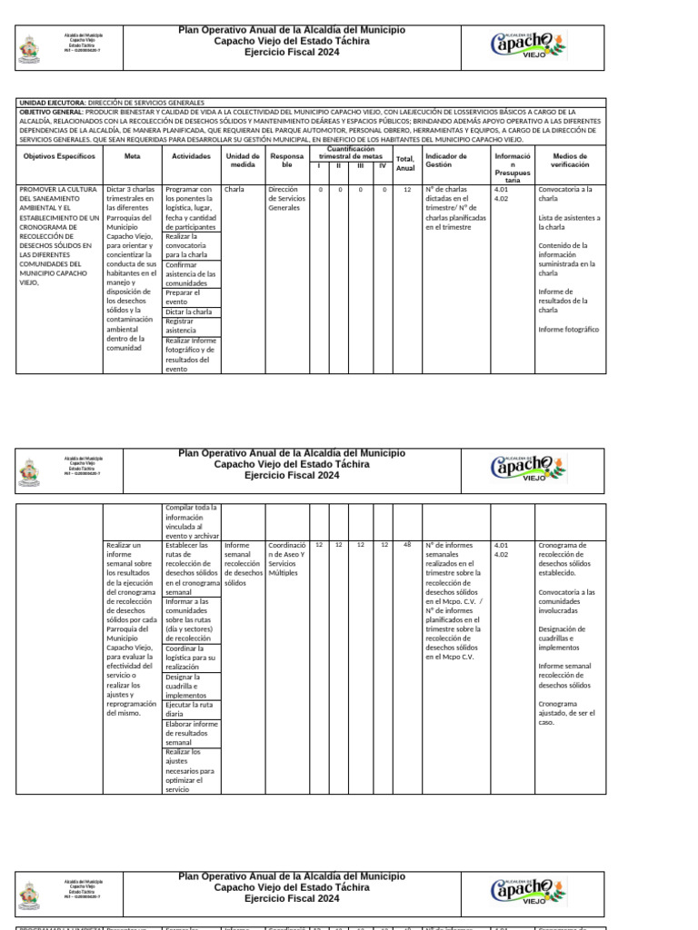 Plan Operativo Anual 2024 DSG | PDF | Planificación