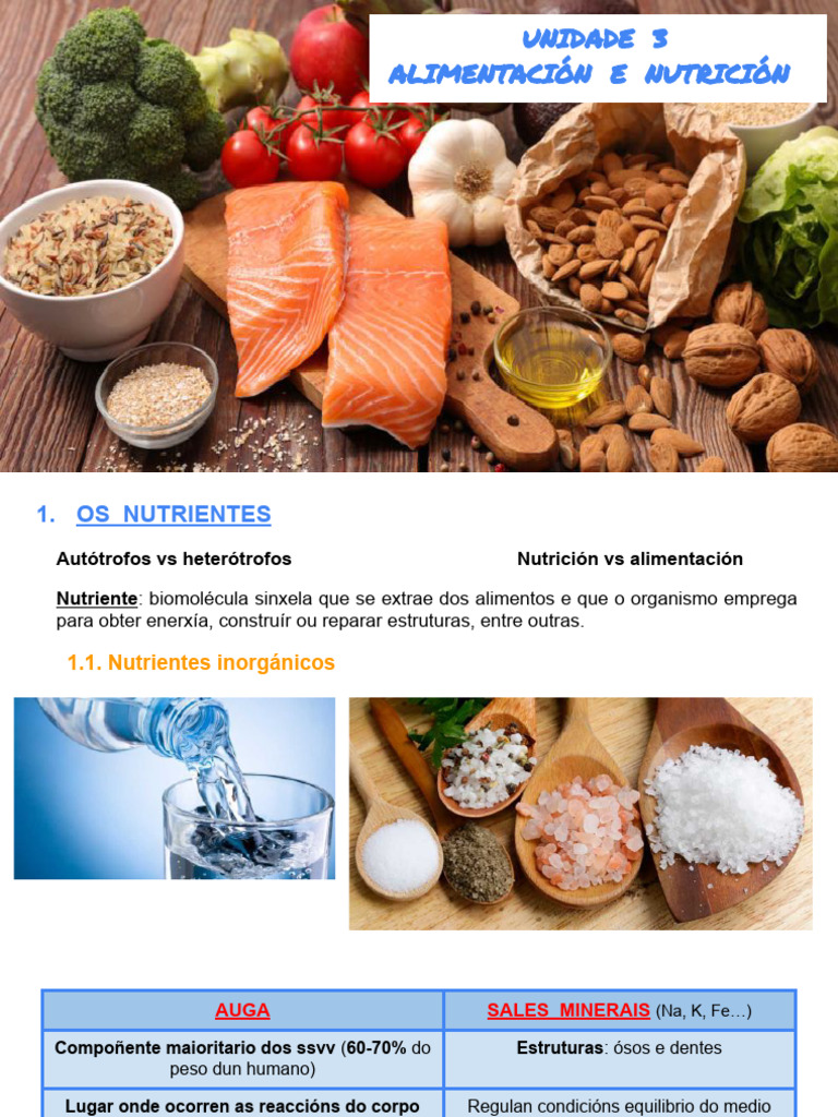 3º ESO. TEMA 3. ALIMENTACIÓN E NUTRICIÓN | PDF
