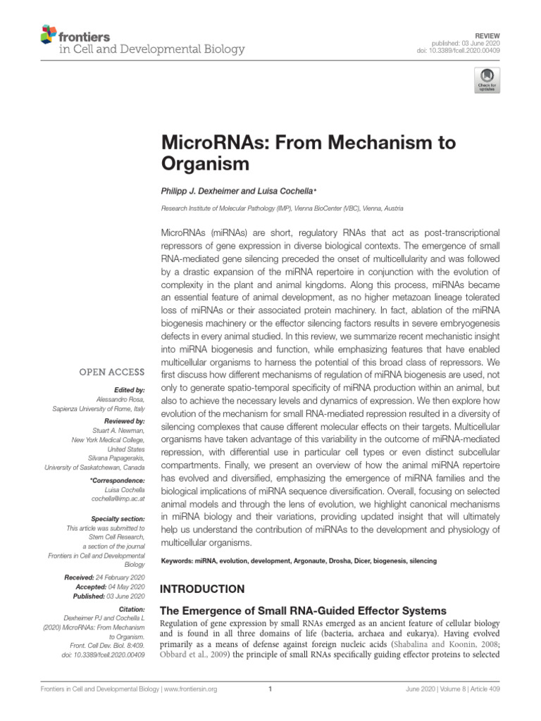 microRNAs | PDF | Micro Rna | Rna