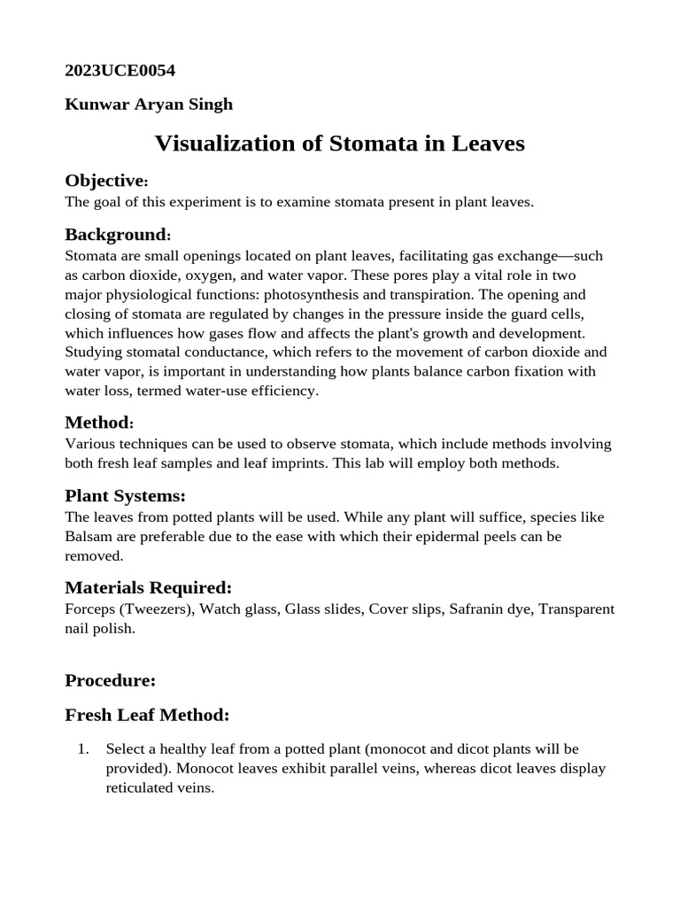 lab4 final | PDF | Stoma | Leaf