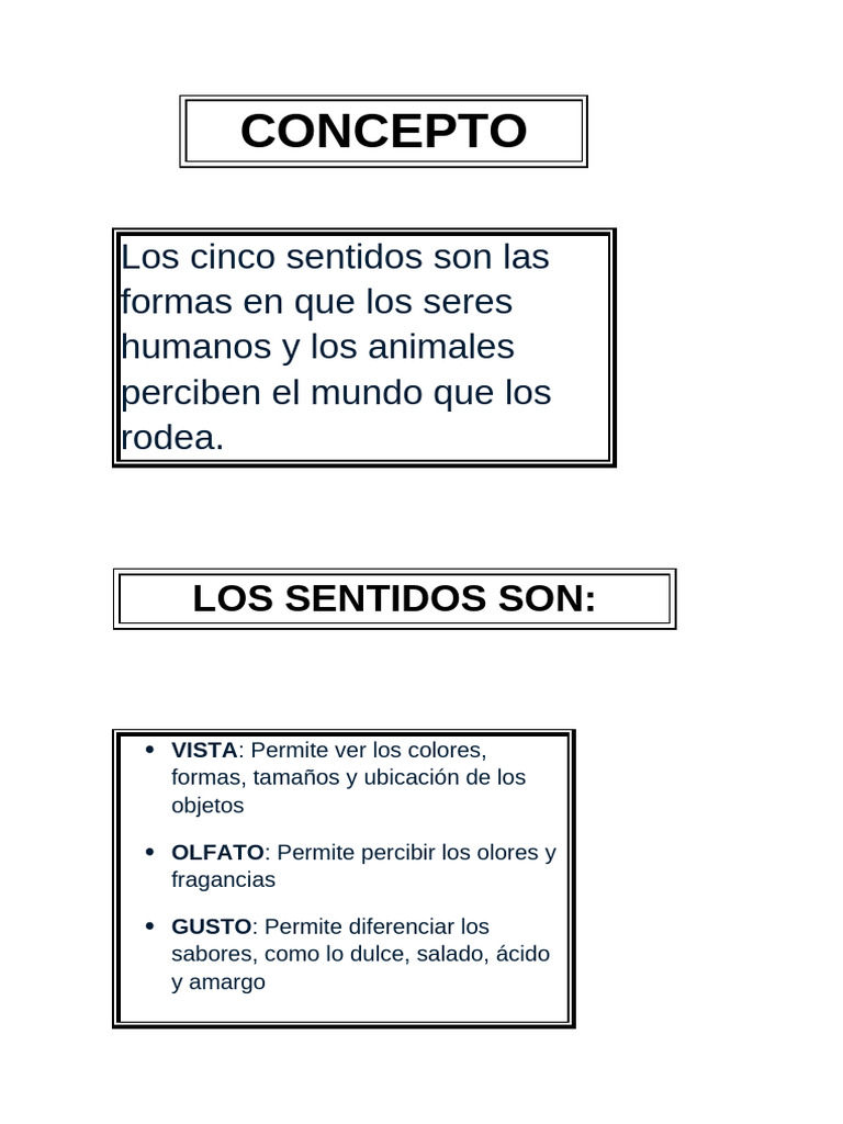 Cuidado de los cinco sentidos humanos | PDF