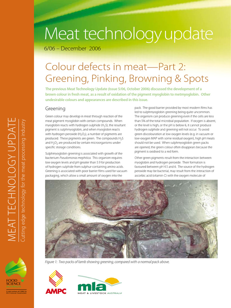 MEAT_TECHNOLOGY_COLOR DEFECTS | PDF | Hydrogen Peroxide | Meat