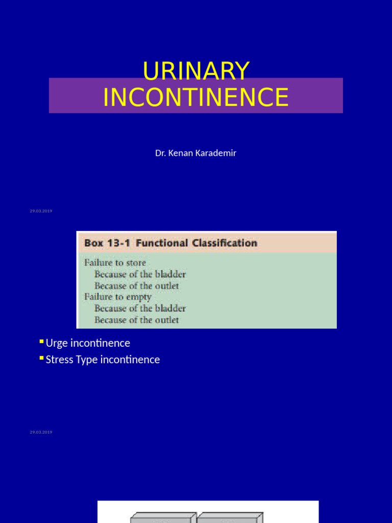 6-Urinary Incontinence | PDF | Urinary Incontinence | Genitourinary System