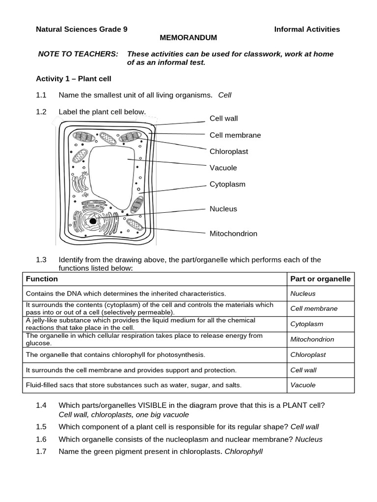 Grade 9 Natural Sciences: Cell Activities | PDF | Cell (Biology ...