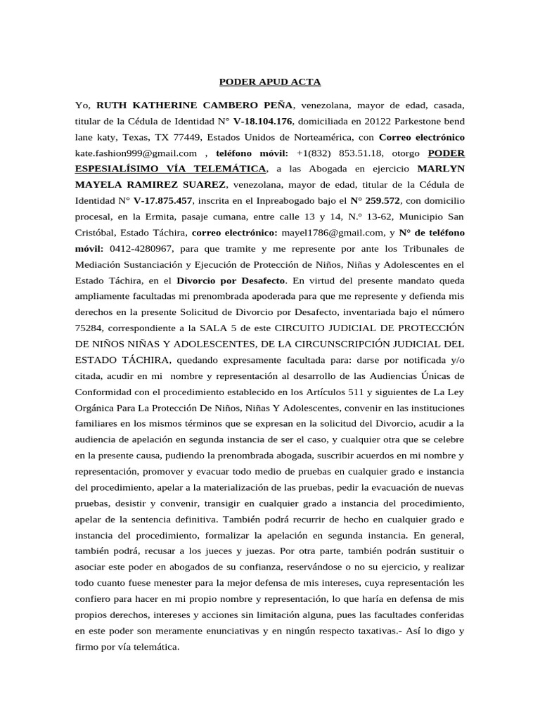 Poder Apud Acta Especial Telematico | PDF | Justicia | Crimen y violencia