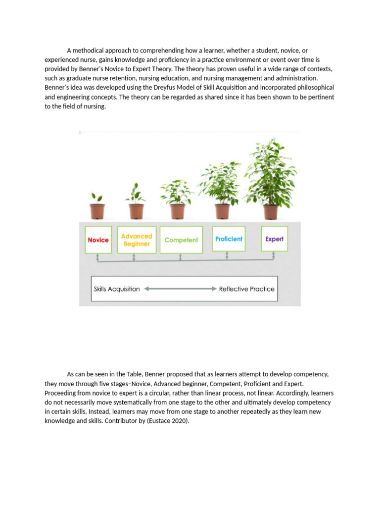 Quamachang Theoretical Framework Benner's Theory | PDF