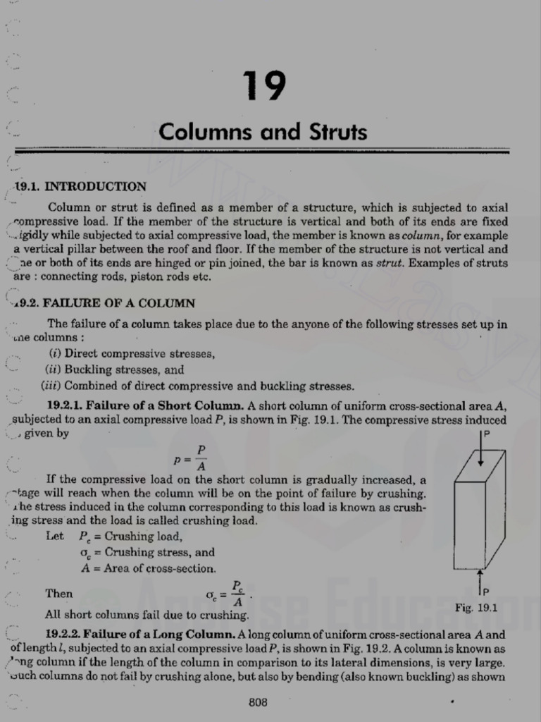 Columns and Struts | PDF