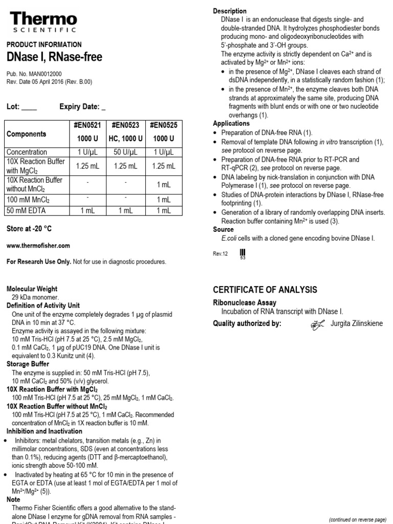 RNase-Free DNase I Product Overview | PDF | Dna | Macromolecules
