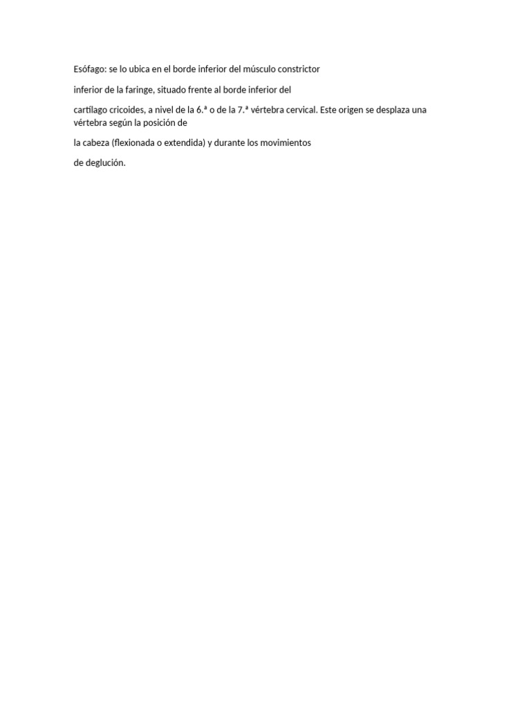 Ubicación y función del esófago | PDF