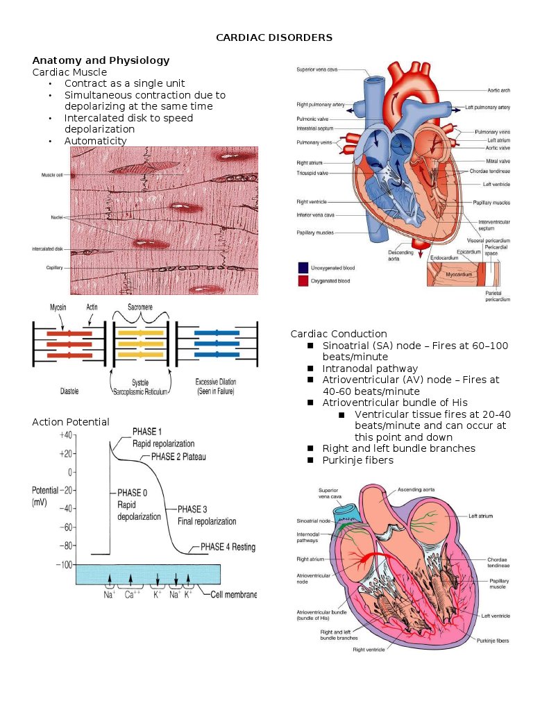 Cardiac Disorders | Electrocardiography | Heart | Free 30-day Trial ...
