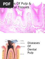 Pulpal and Periapical Diagnosis Chart | PDF | Dentistry | Diseases And ...