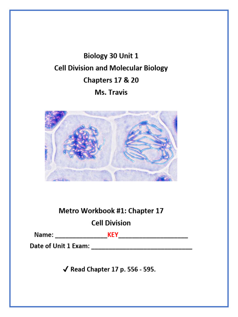 KEY Metro L Workbook #1 Chapter 17 Unit 1 Cell Division | PDF | Meiosis ...