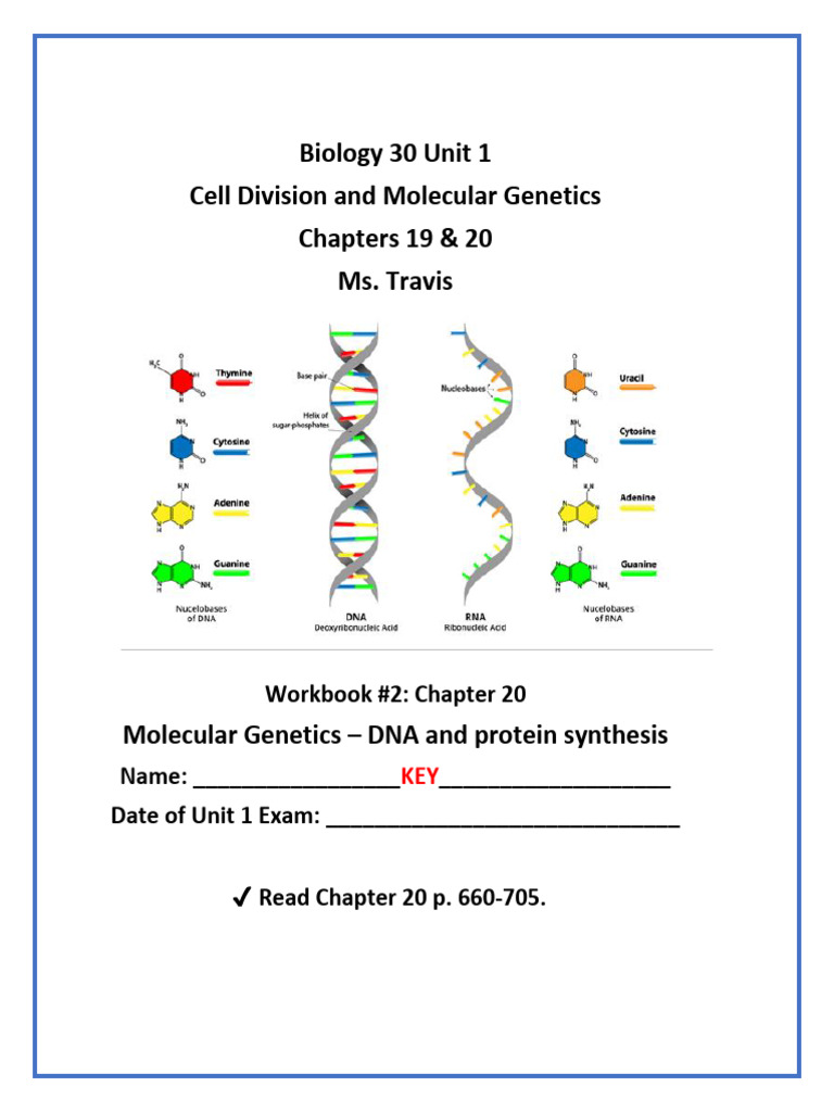 KEY Metro L Workbook #2 Chapter 20 Part 1 Unit 1 Molecular Genetics ...