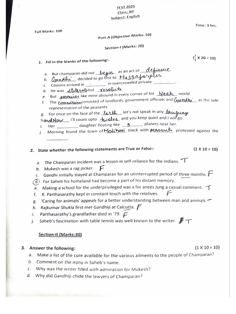 ACE Scanner_2025_01_26 | PDF