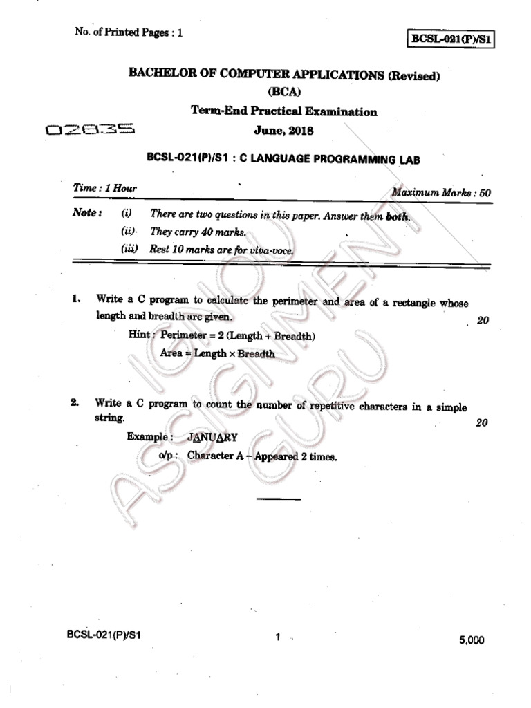 C Programming Lab Exam Questions | PDF