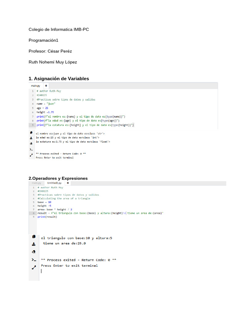 Programación1: Variables y Operadores | PDF