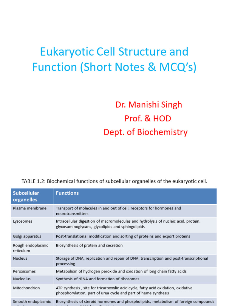 Cell Structure and Function (Short Notes & MCQ'S) | PDF | Endoplasmic ...