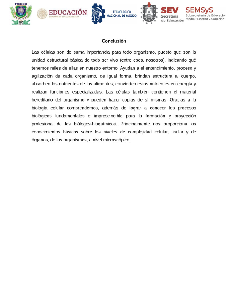 ACT 1_U2_HOJA DE PRESENTACIÓN_INTRO_CATÁLOGO | PDF