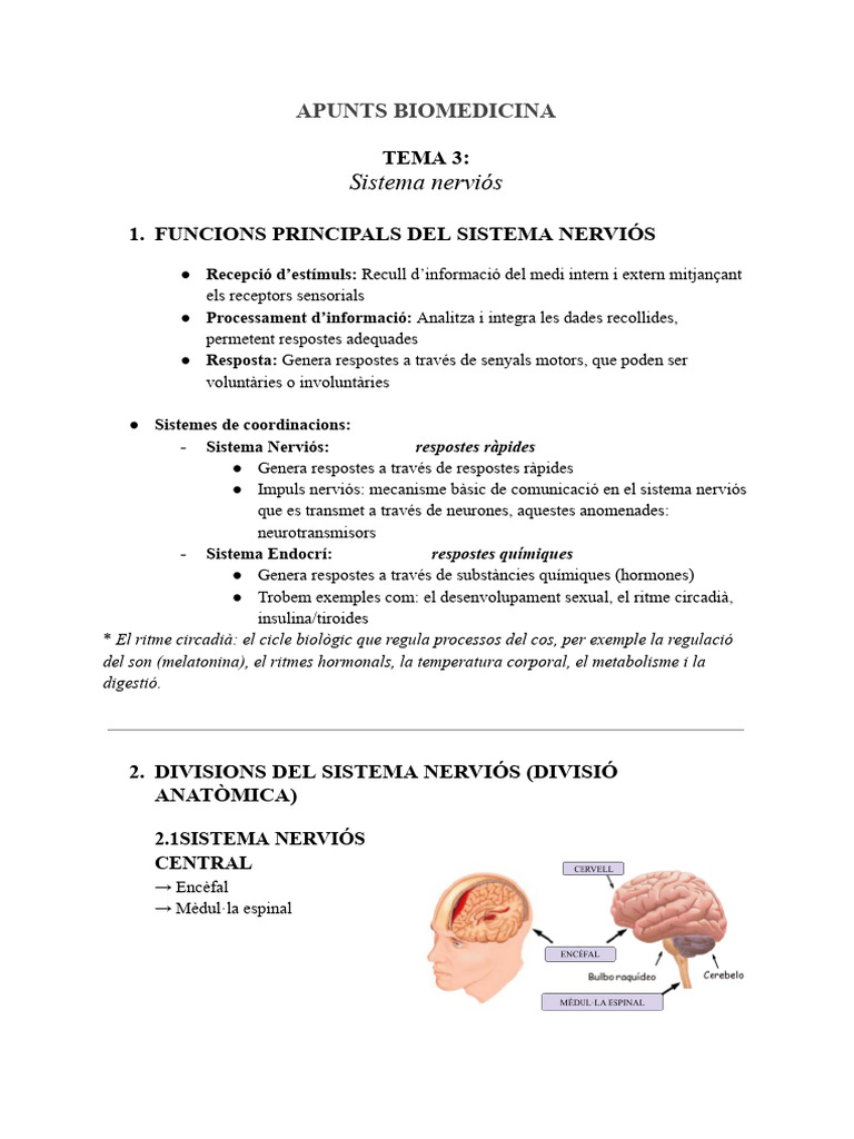 Apunts: TEMA 3 | PDF
