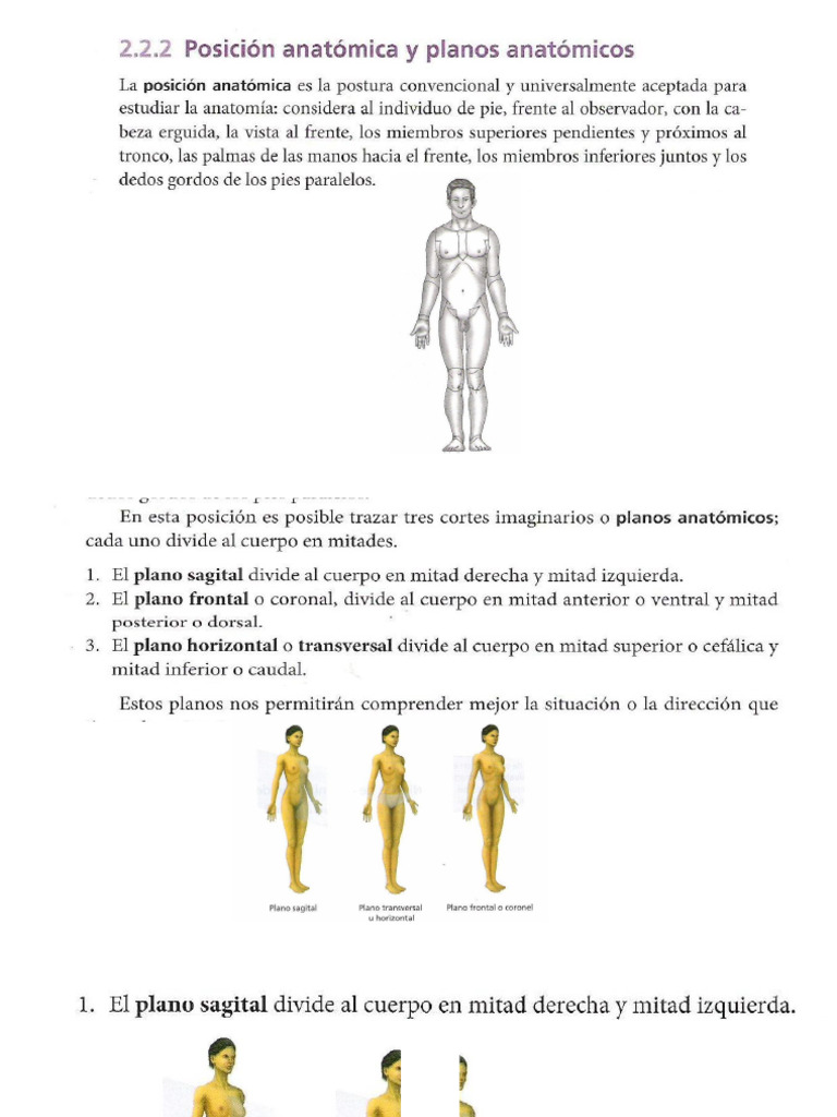 Teoria - Planos y Cavidadess | PDF