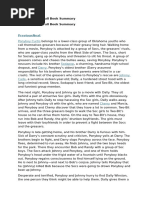 Chapter 8 Summary of The Outsiders | PDF