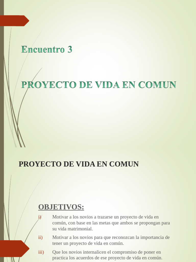 Proyecto de Vida en Común para Matrimonios | PDF | Esposa | Matrimonio