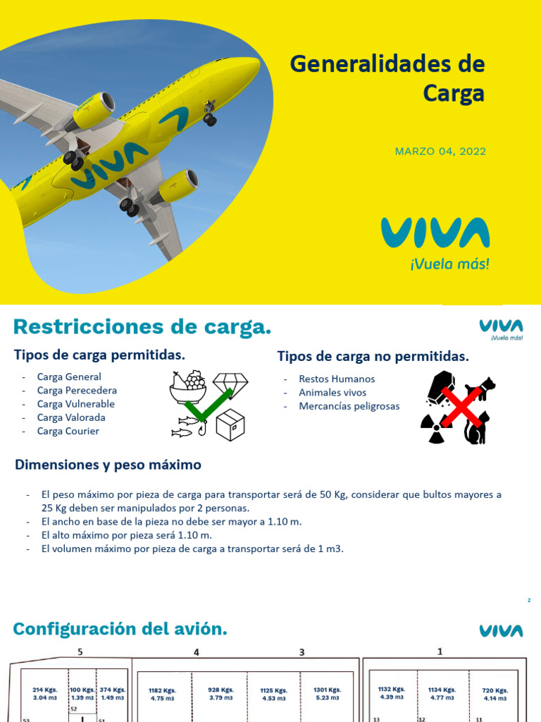 Generalidades de Carga Viva | PDF