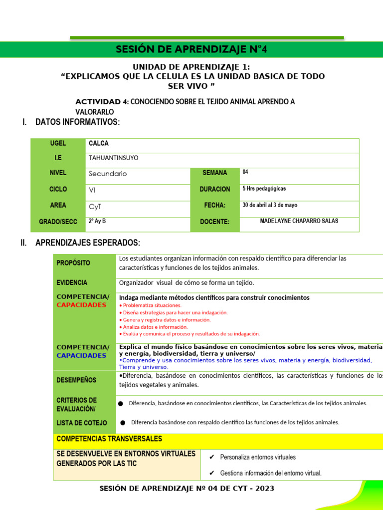d2º Ses-Act 4-Cyt u1 (1) | PDF | Músculo | Aprendizaje