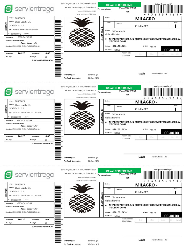 Sendifico - 2025-01-27T08 50 09.146 - Guia-Envio-19109 | PDF