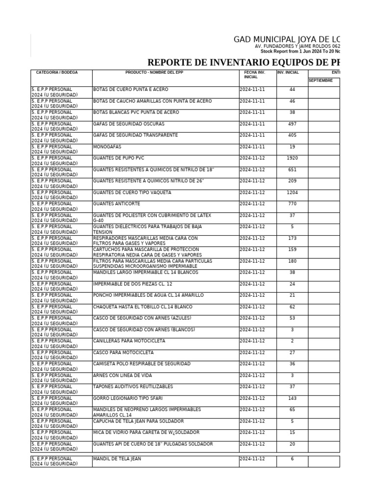 Stock Report Epp 2023 Al 31 - 12 - 2024 | PDF | Materiales naturales