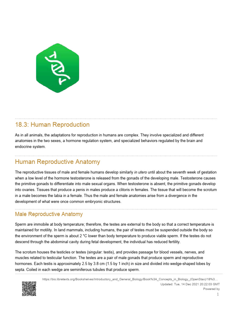 Human Reproductive Anatomy Explained | PDF | Menstrual Cycle ...