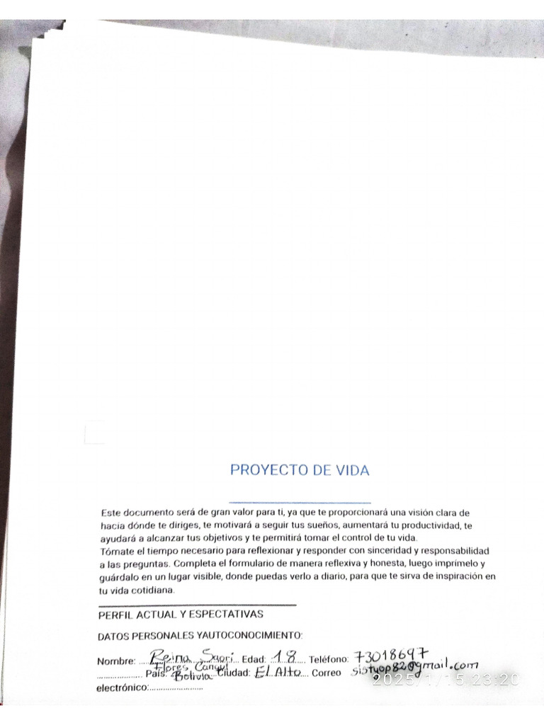 Proyect of Live Example | PDF
