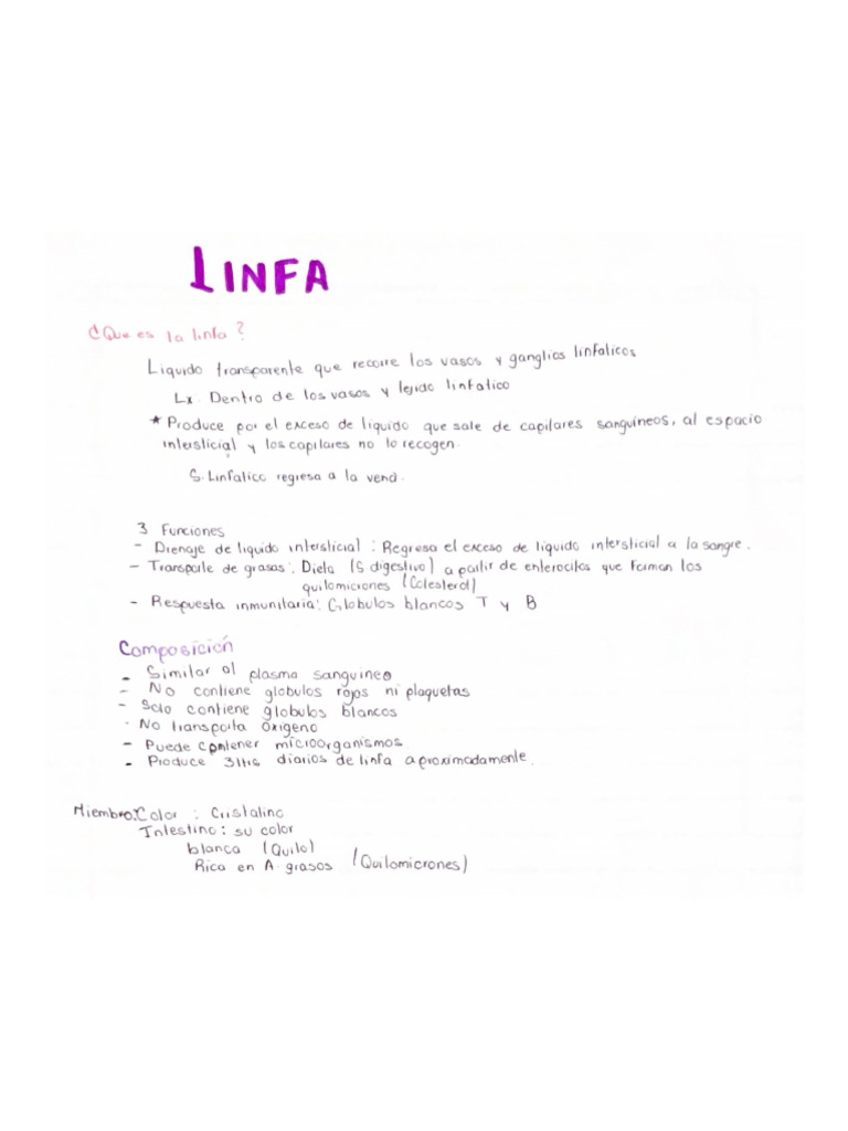 Linfa, Arterias | PDF