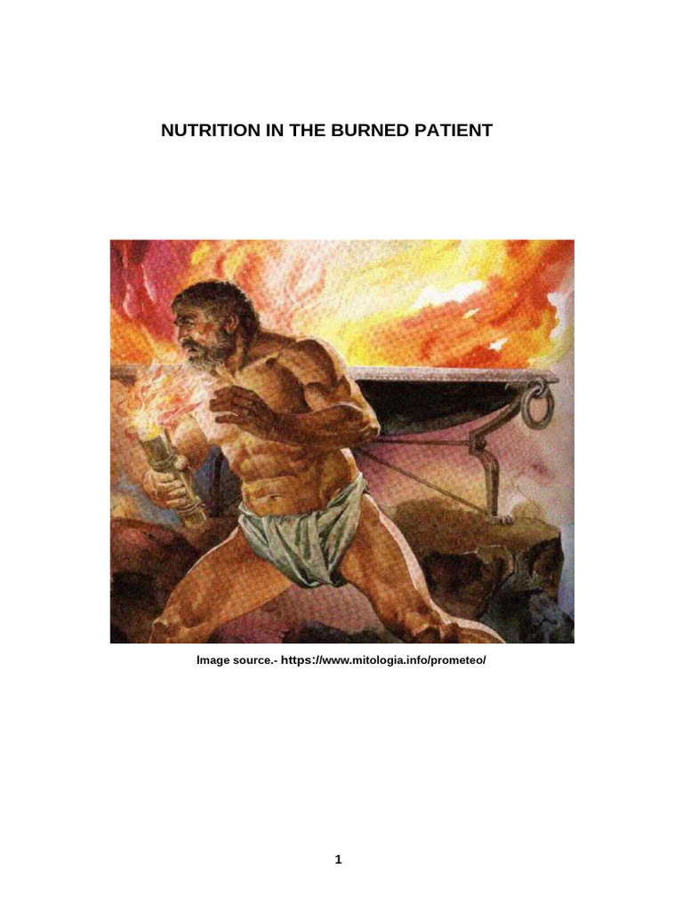NUTRITION IN THE BURNED PATIENT | PDF | Burn | Nutrition