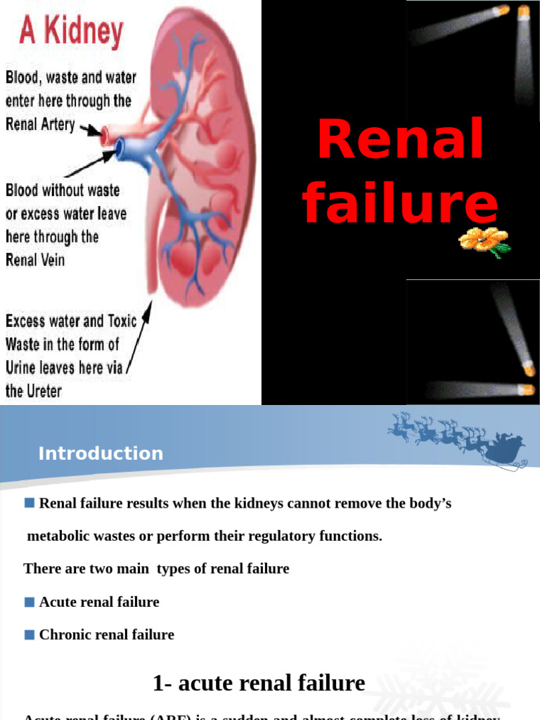 5-Part 1-Acute and Chronic Renal Failure | PDF | Clinical Medicine ...