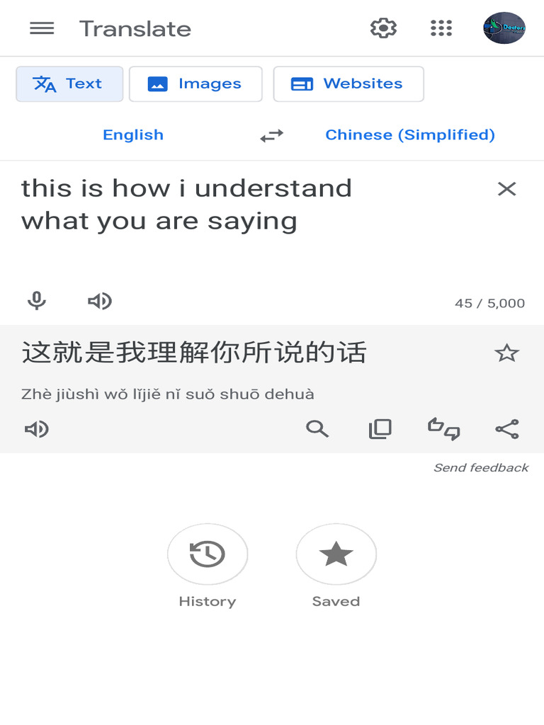 Google Translate | PDF