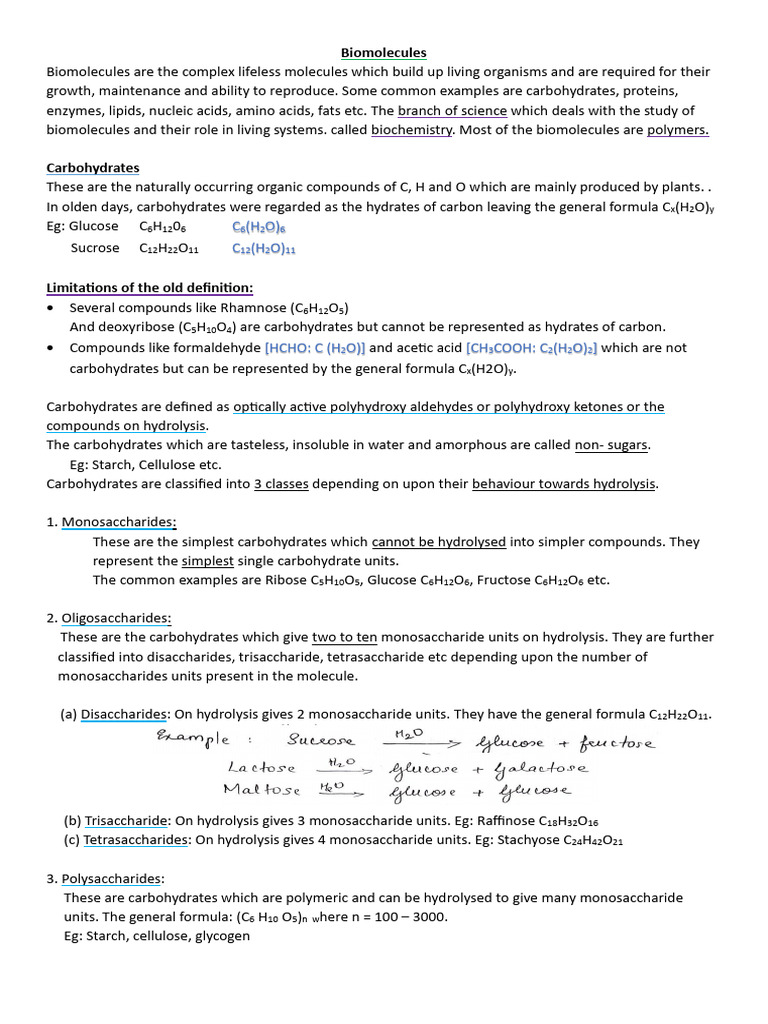 Understanding Biomolecules and Carbohydrates | PDF | Dna | Carbohydrates