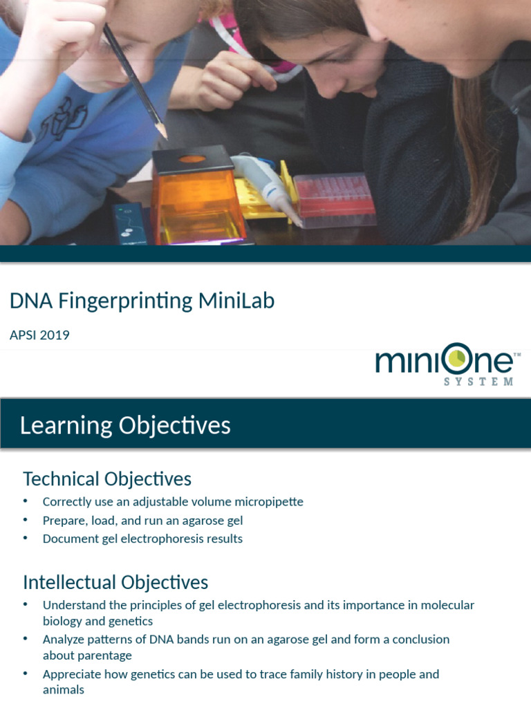 MiniOne DNA Fingerprinting MiniLab - APSI2019 - LR 1 | PDF | Gel Electrophoresis | Agarose Gel ...