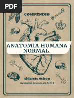 Anatomía de la Escápula y Cintura Escapular | PDF