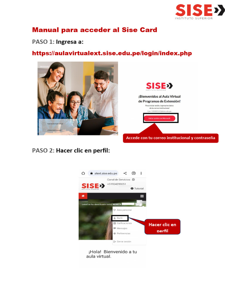 Manual Sise Card | PDF