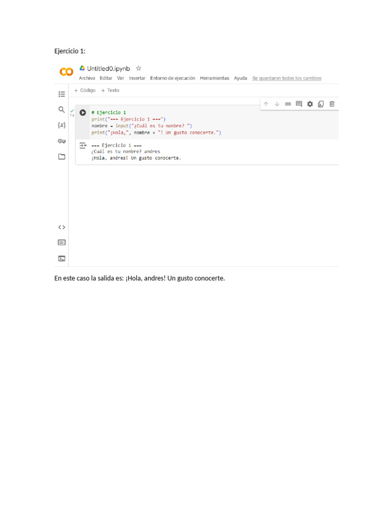 Ejercicios básicos de Python | PDF