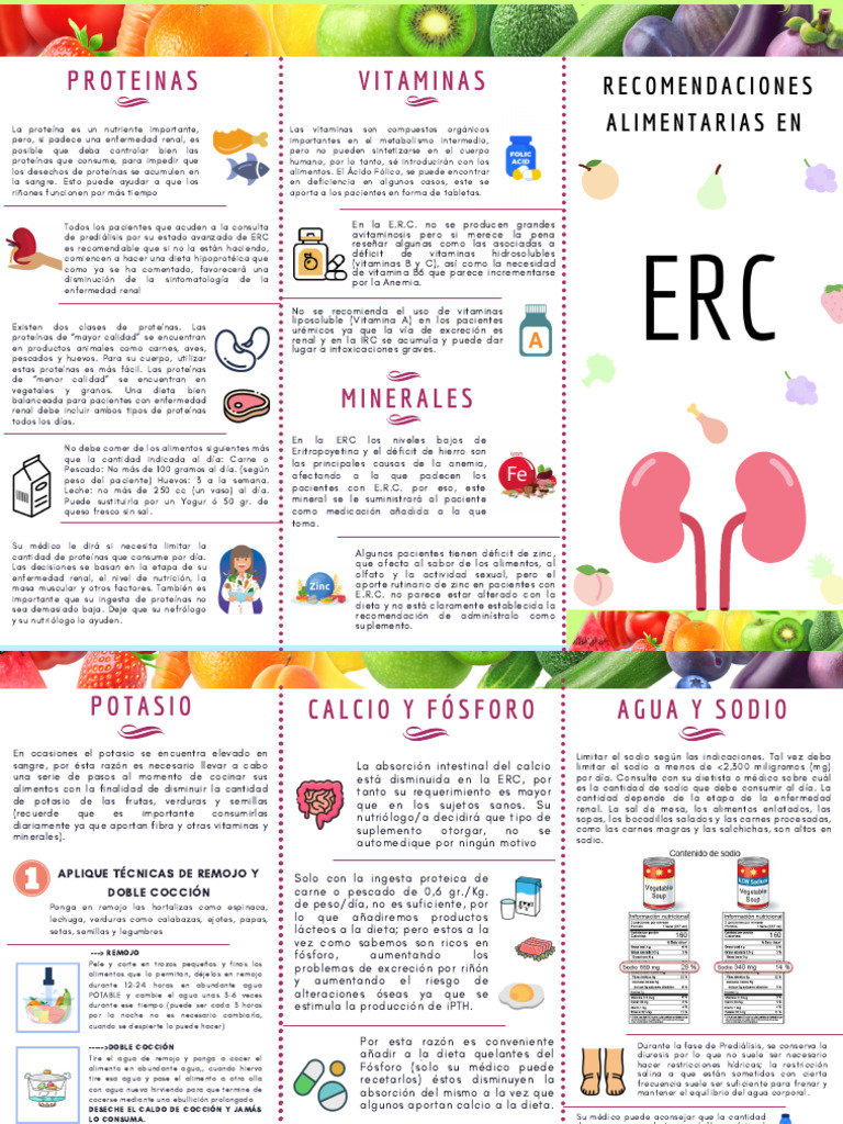 Recomendaciones Nutricionales en ERC | PDF | Vitamina | Alimentos