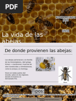 Hábitat y conservación de abejas meliponas | PDF | Abejas
