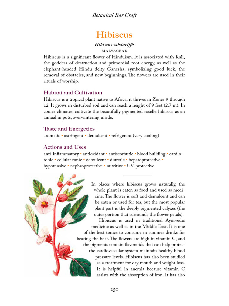 Botanical Bar Craft: Hibiscus | PDF | Hops