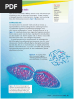 Biology Form 3 Notes | PDF | Meiosis | Food Web