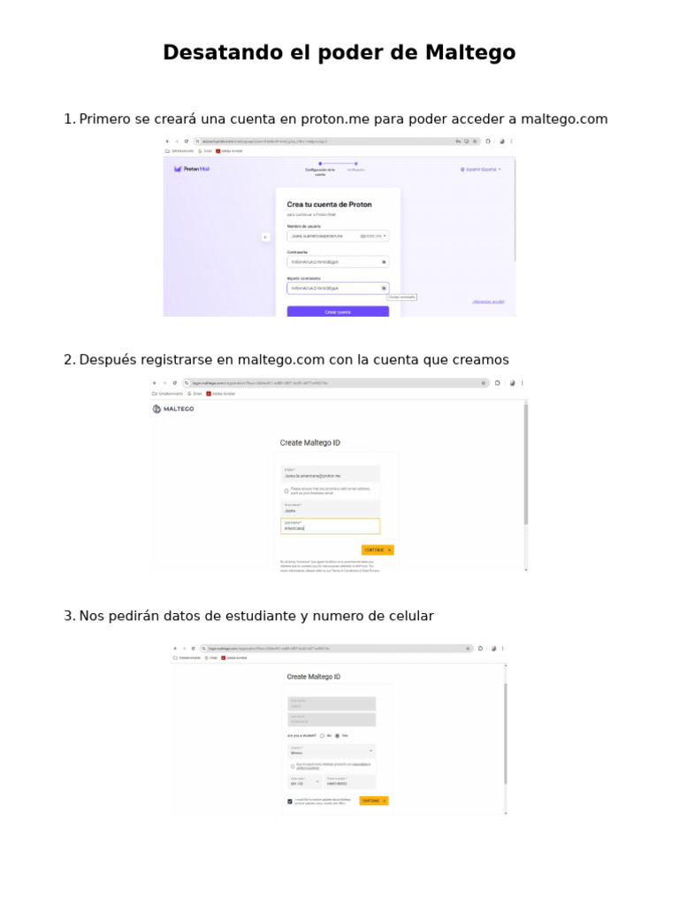 Maltego Proyecto | PDF