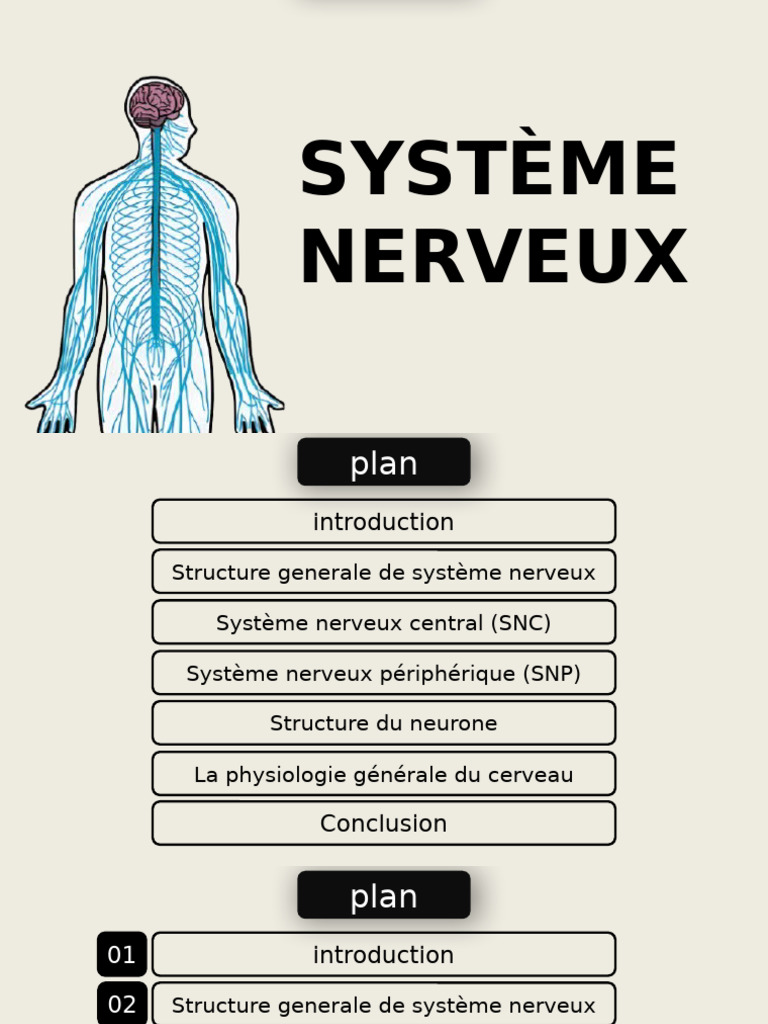 Comprendre le Système Nerveux | PDF | Système nerveux | Système nerveux ...