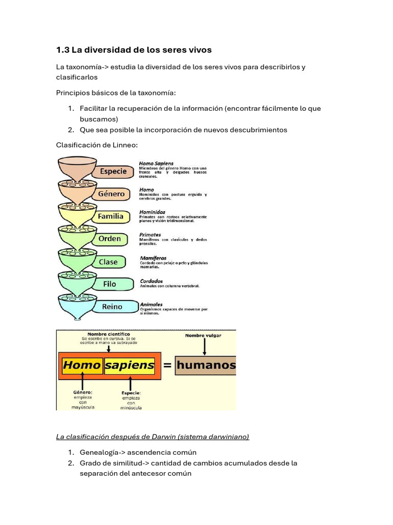1.3 La Diversidad de Los Seres Vivos | PDF | Plantas | Algas