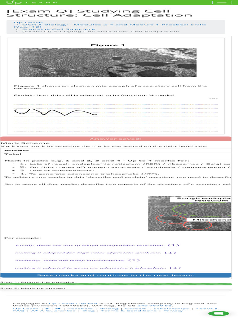 Learn Up Learn | PDF