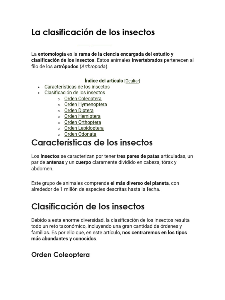 Clasificación de Insectos por Orden | PDF | Insectos | Mosca